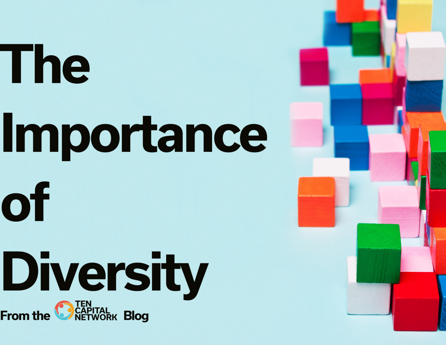 The Importance of Diversity in Your Portfolio – Startup Funding